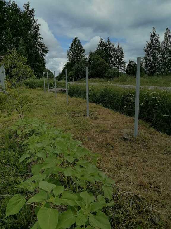 Столб для забора винтовой 60х60х2 мм 3,5 м грунт серый — купить в Санкт ...